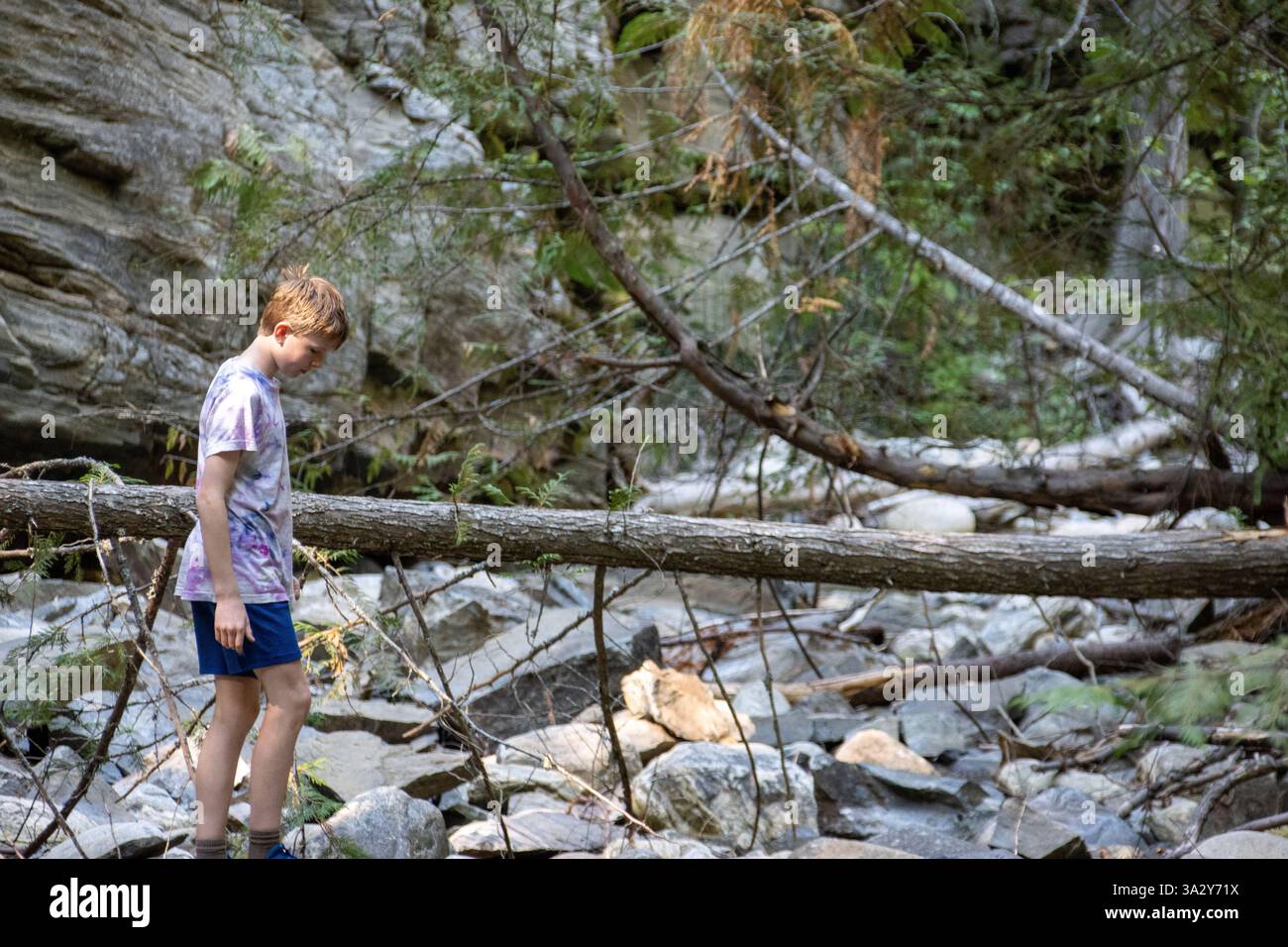 Boy hiking along a creek bed, enjoying nature and solitude Stock Photo ...