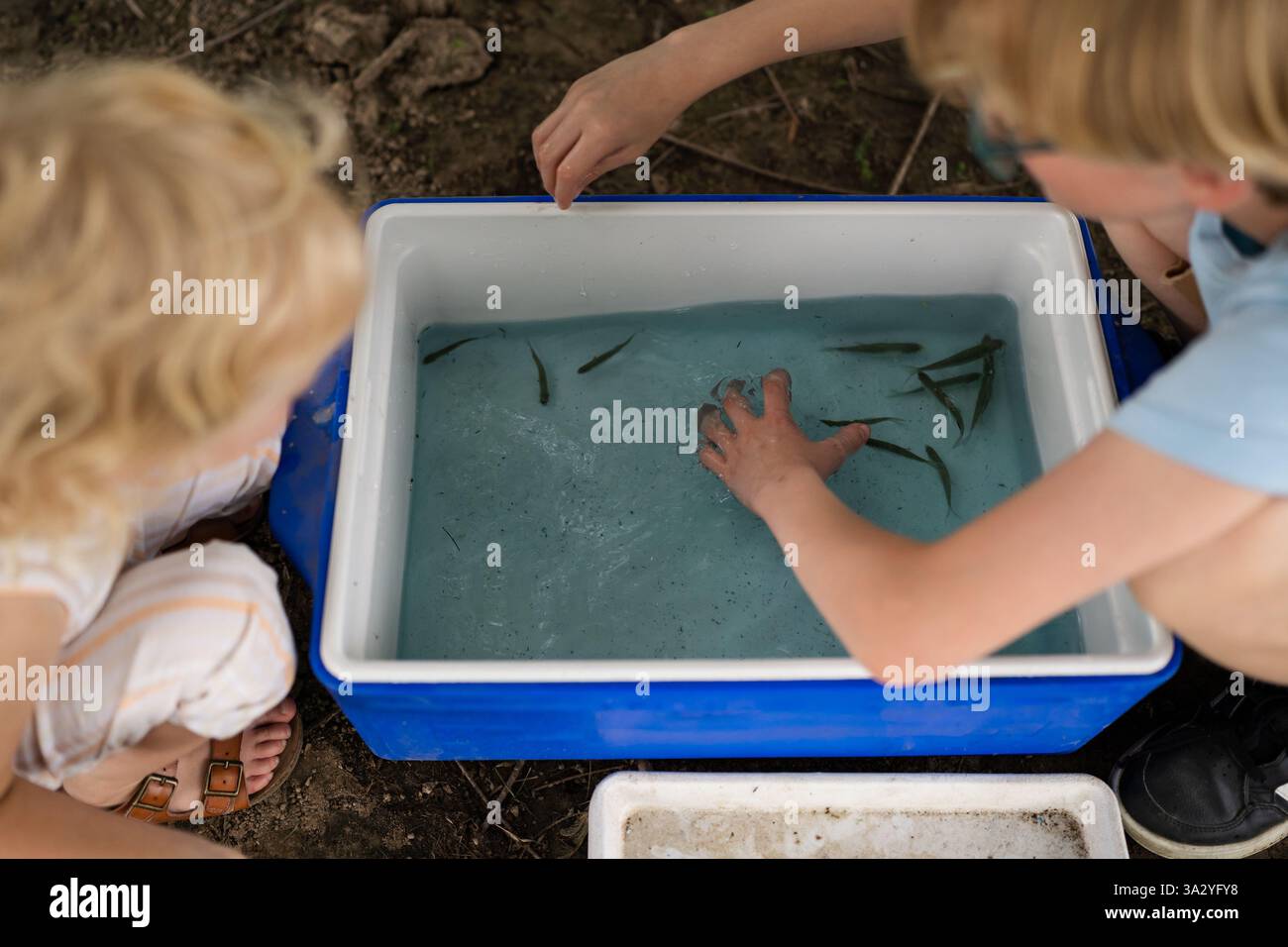 Two children catch fish fishing hi-res stock photography and images - Alamy
