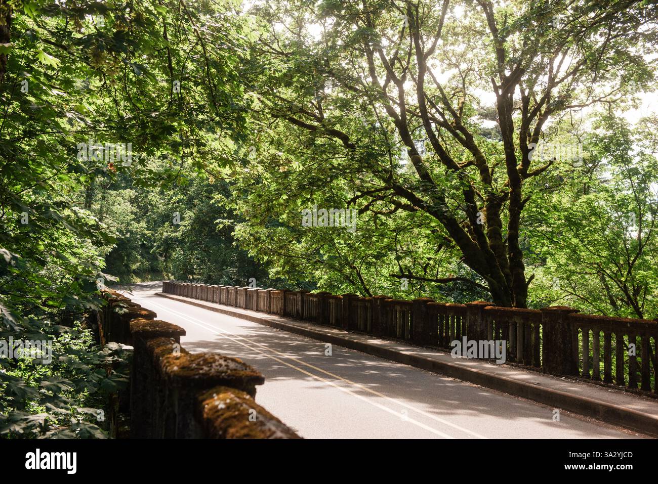 Moss-Covered Bridge on the Historic Columbia River Highway Stock Photo ...