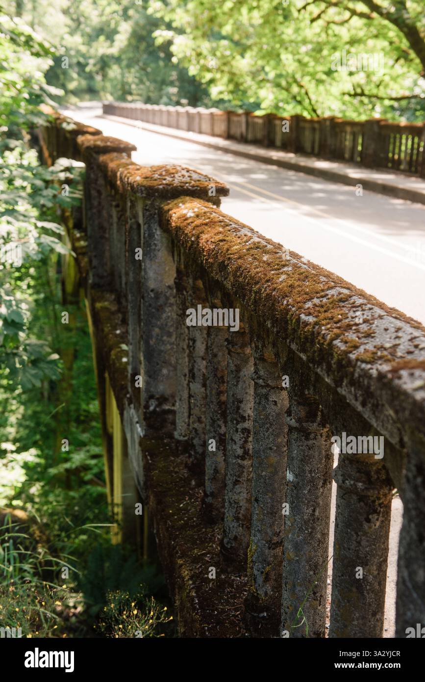 The Quiet Charm of an Overgrown Bridge Stock Photo - Alamy