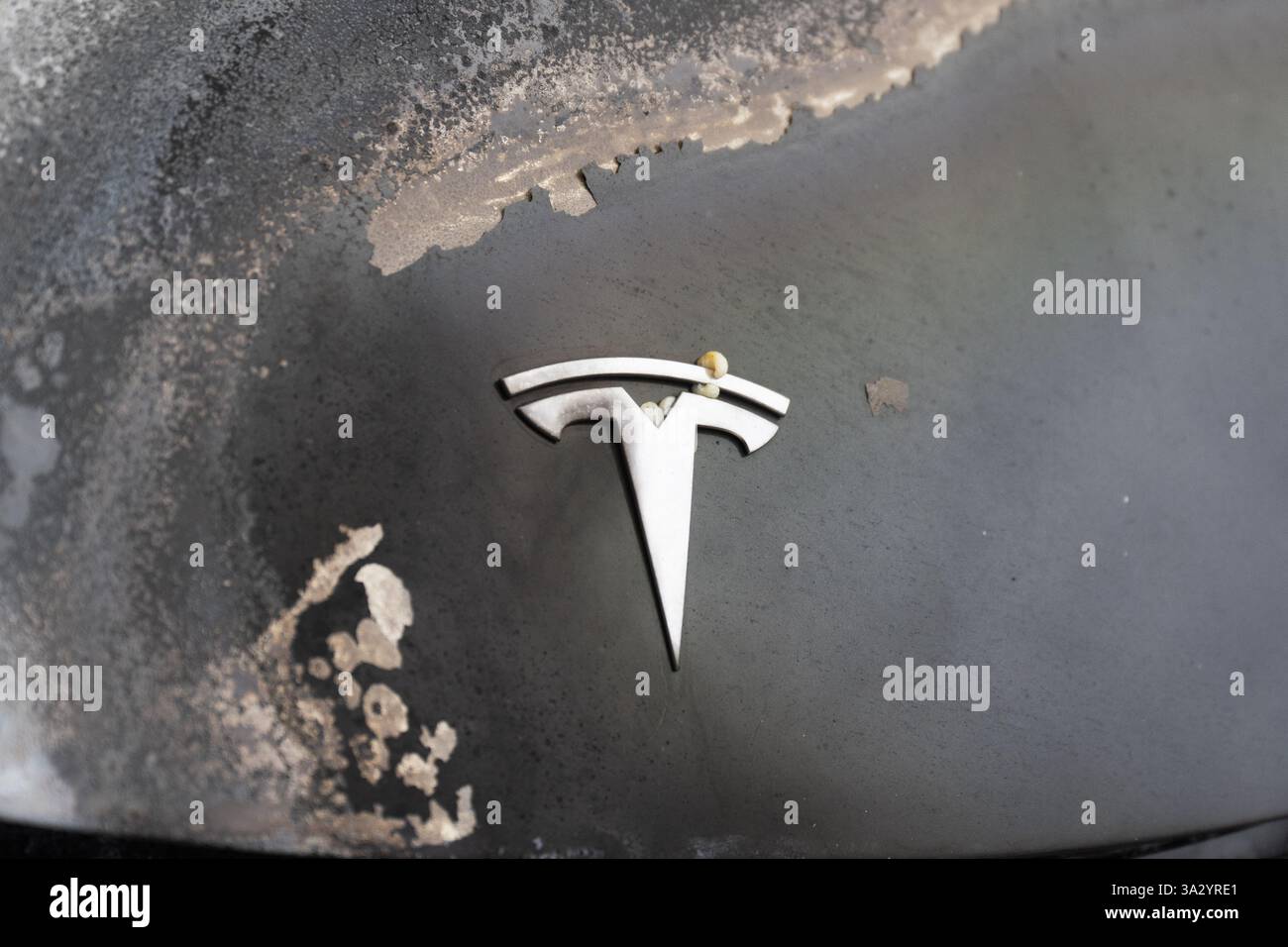 Berlin, Germany. 14th Mar, 2025. A burnt-out Tesla car stands in the ...