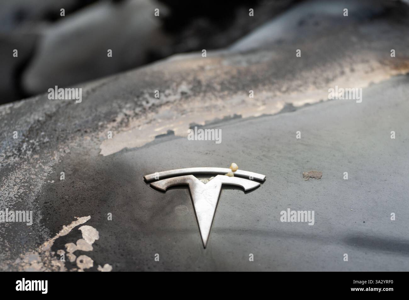 Berlin, Germany. 14th Mar, 2025. A burnt-out Tesla car stands in the ...