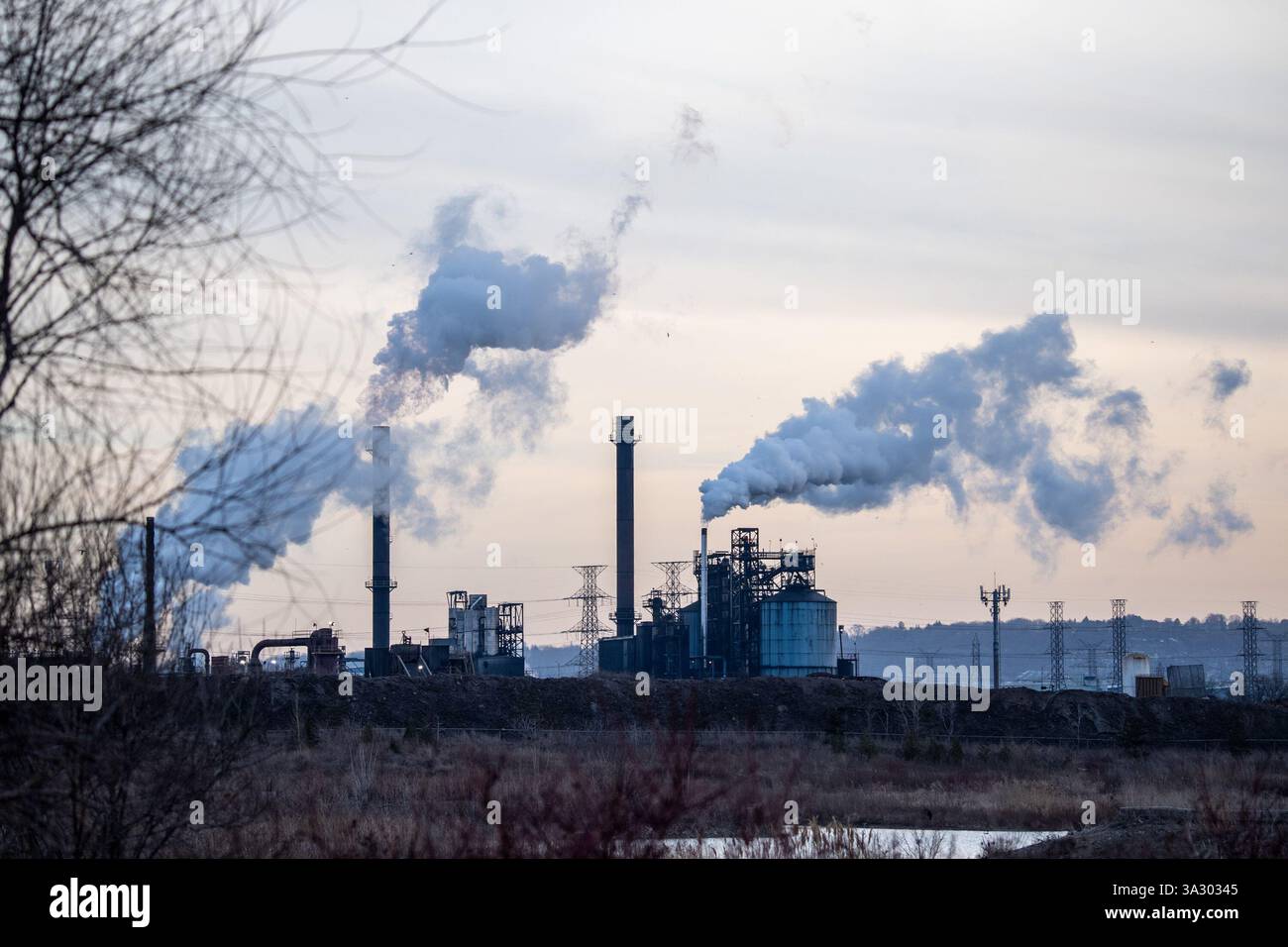 Plant smokestacks as seen from a local nature trail. (Photo by Stacey ...