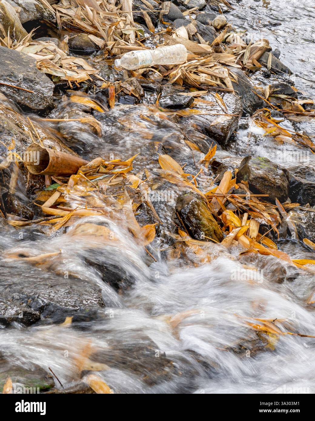 An old plastic water bottle,thrown into tthe river,in a remote rural ...