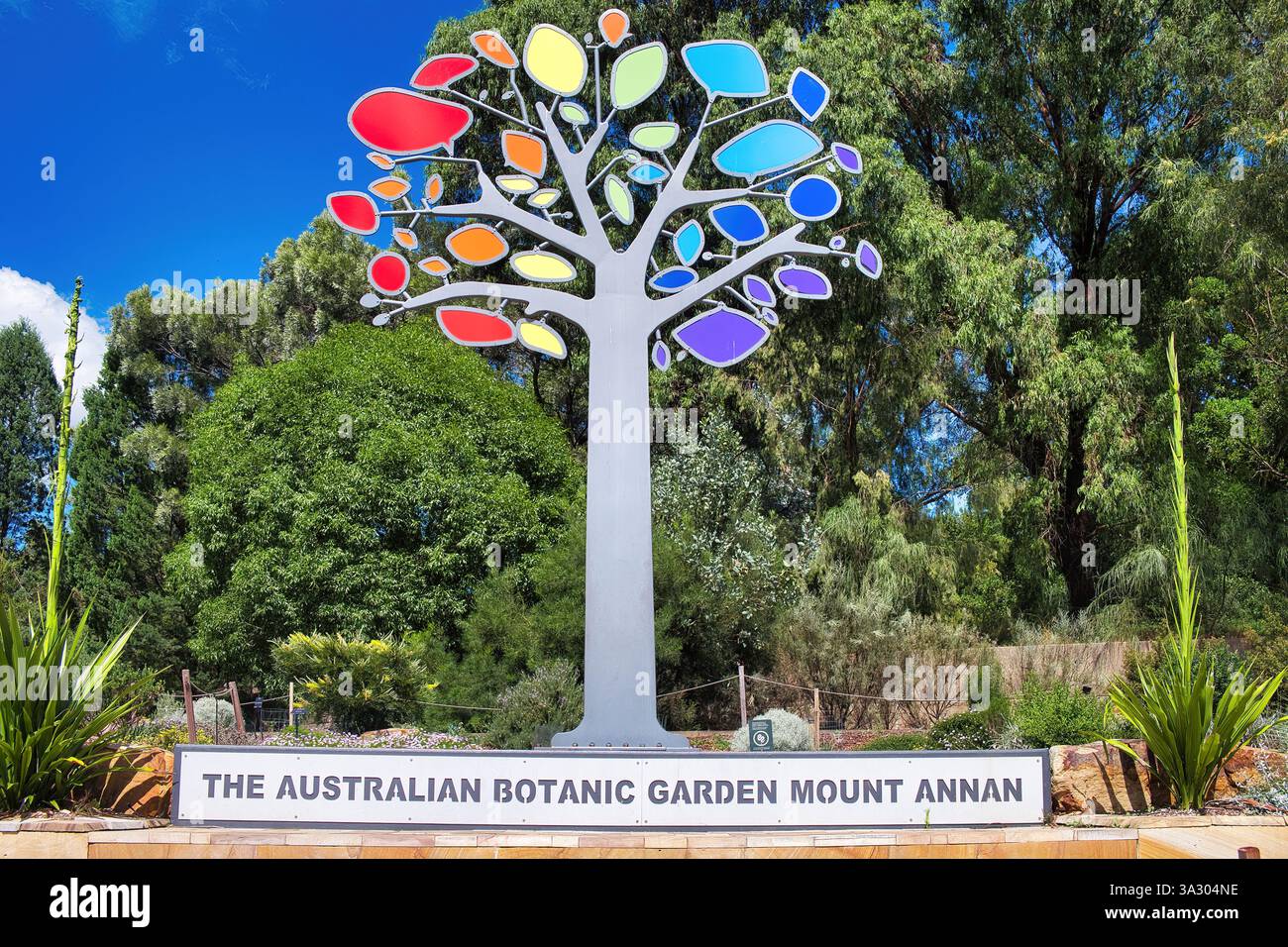 Stylised tree with multi-coloured leaves, the symbol of the Australian ...