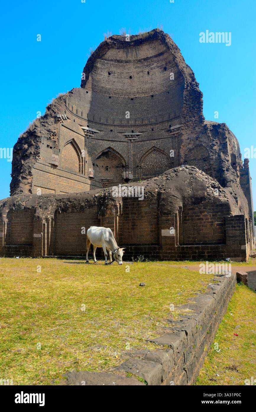 Partial view of the tombs, The Bahmani tombs complex, Ashtoor, Bidar ...