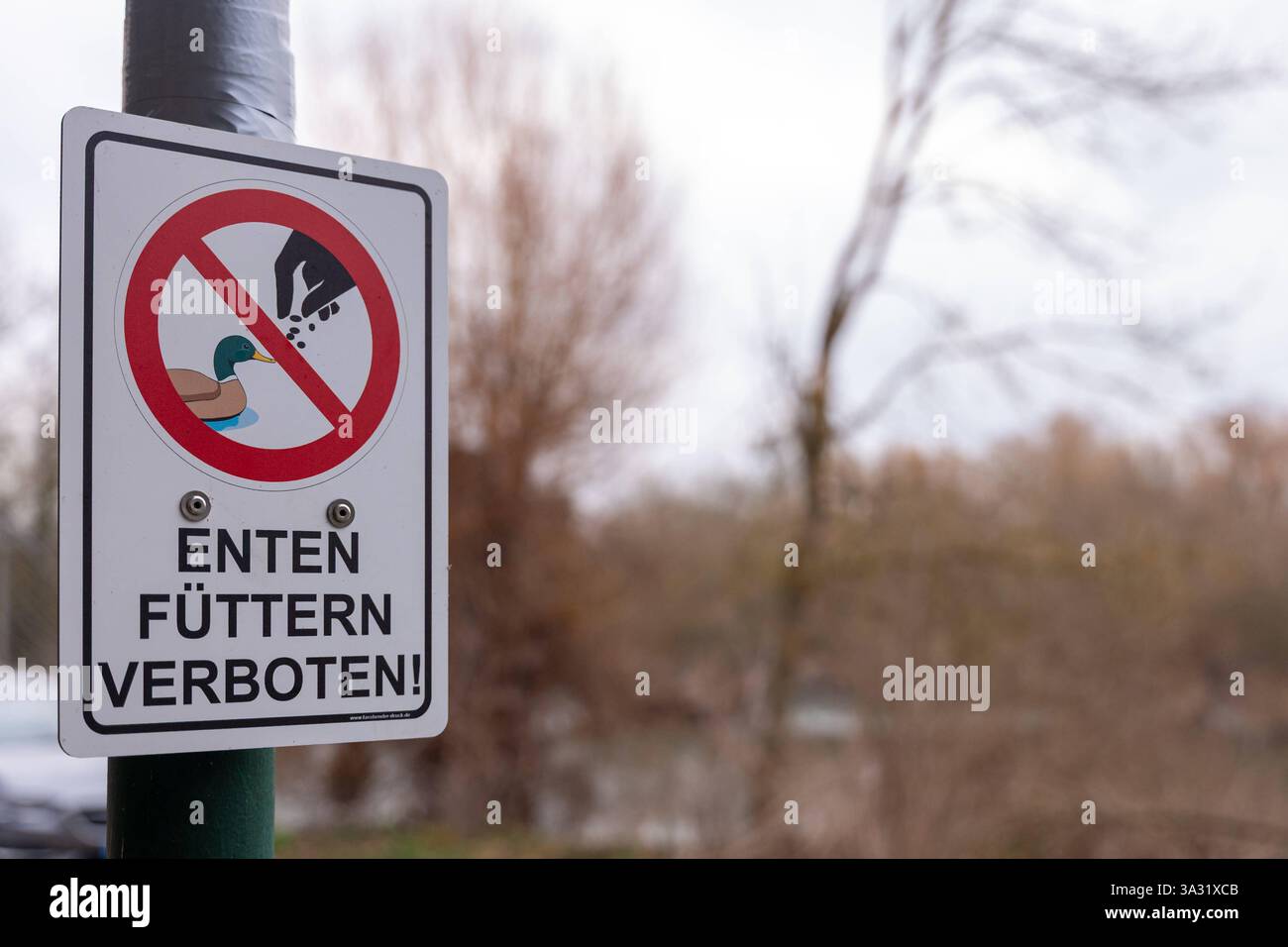 Verbotsschild Enten füttern untersagt 12.03.25, Limburg: Symbolfoto ...