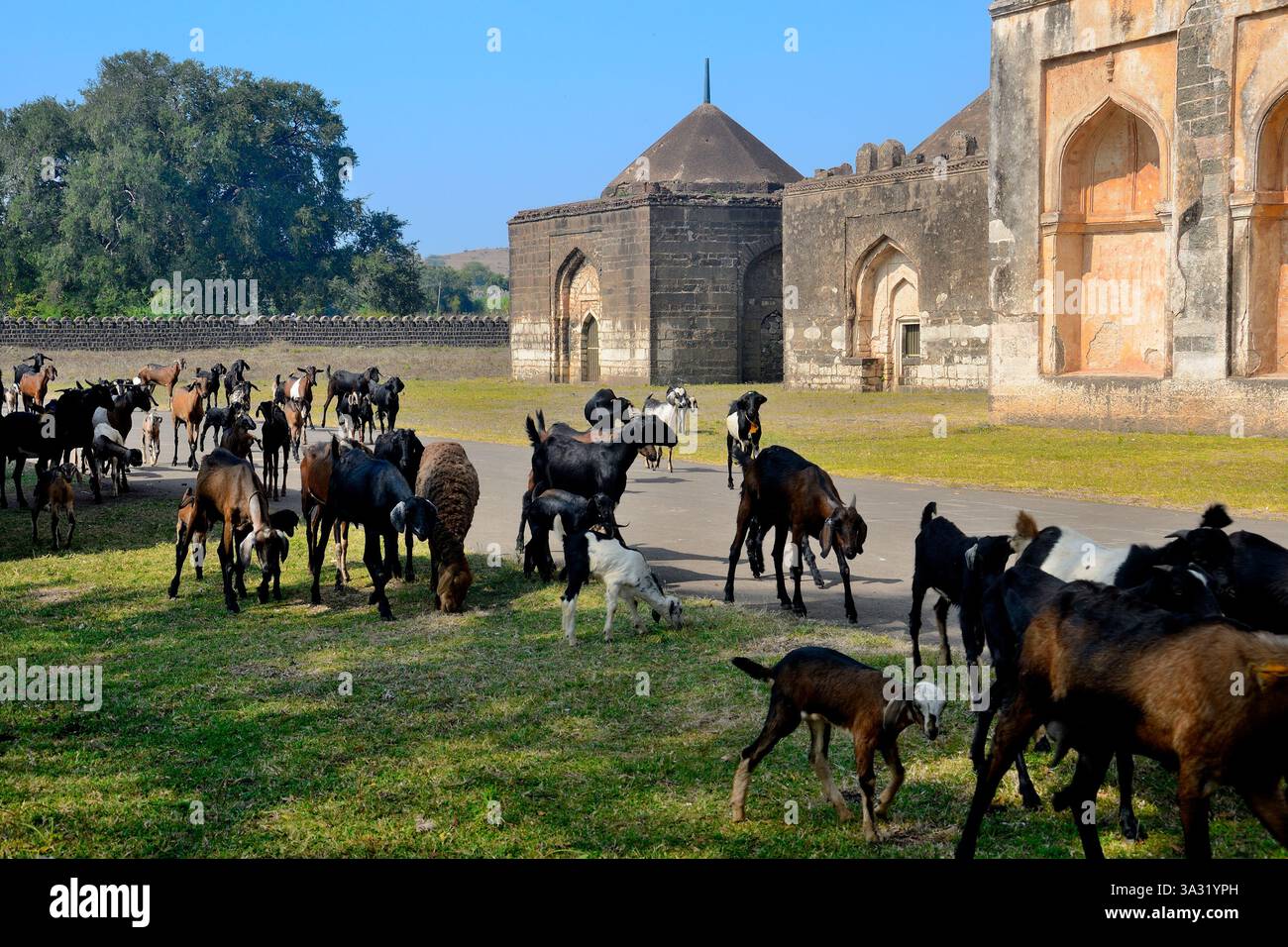 Partial view of the tombs, The Bahmani tombs complex, Ashtoor, Bidar ...
