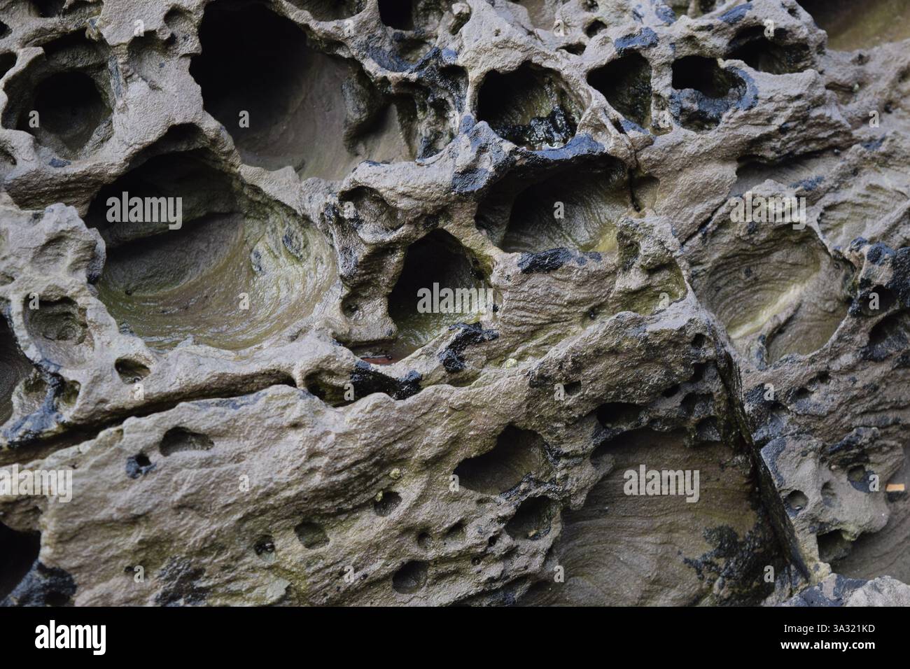Putsborough Sands Beach Cliff Rock Face Erosion Texture Stock Photo - Alamy