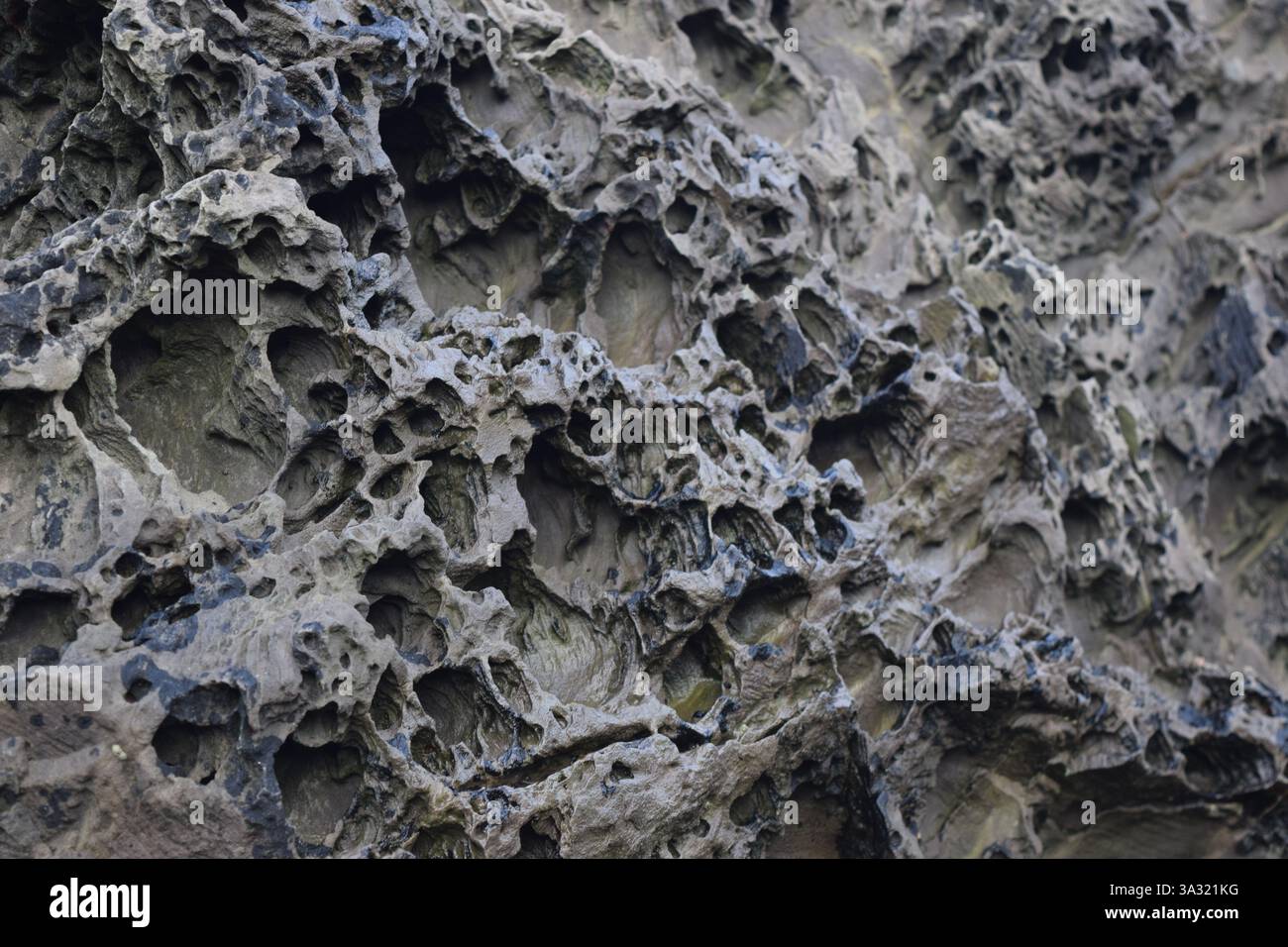Putsborough Sands Beach Cliff Rock Face Erosion Texture Stock Photo - Alamy