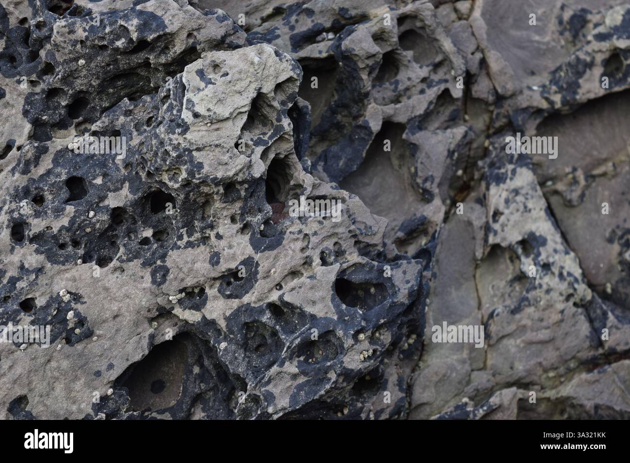 Putsborough Sands Beach Cliff Rock Face Erosion Texture Stock Photo - Alamy