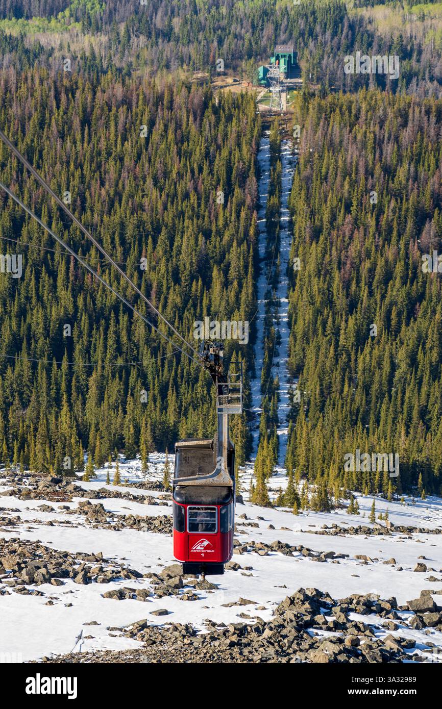 Jasper SkyTram aerial tramway ascending the snow-capped Rocky Mountains ...