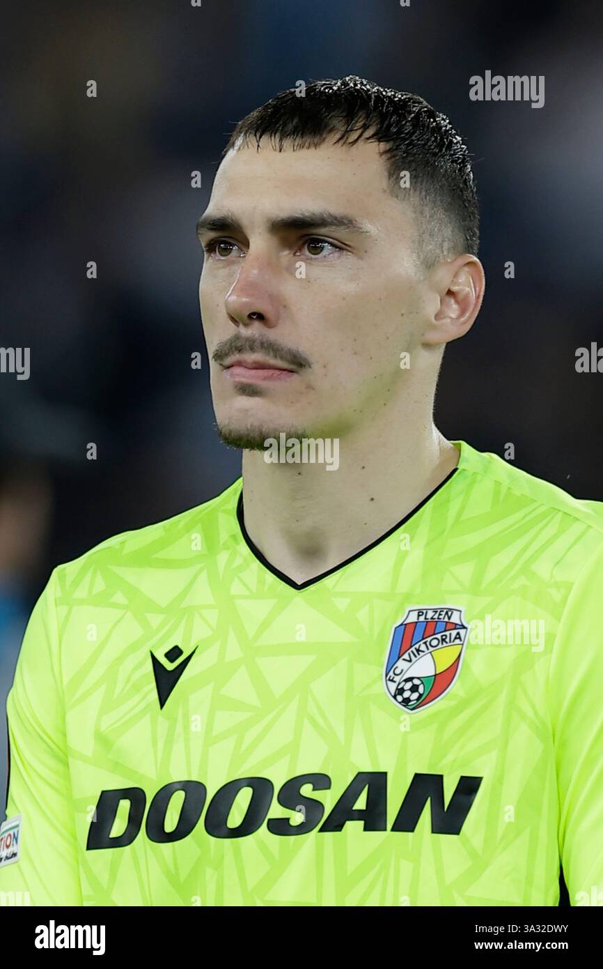 Viktoria Plzen's Czech goalkeeper Martin Jedlicka looks during during ...