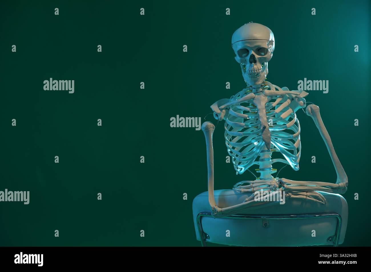Artificial human skeleton model sitting on chair against green ...