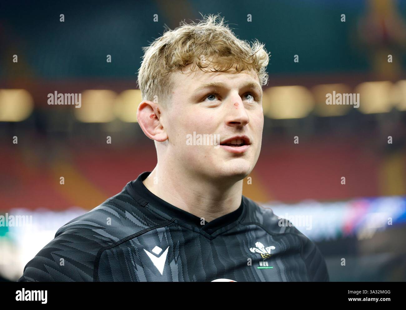 Wales' Jac Morgan during a captain's run at Principality Stadium ...
