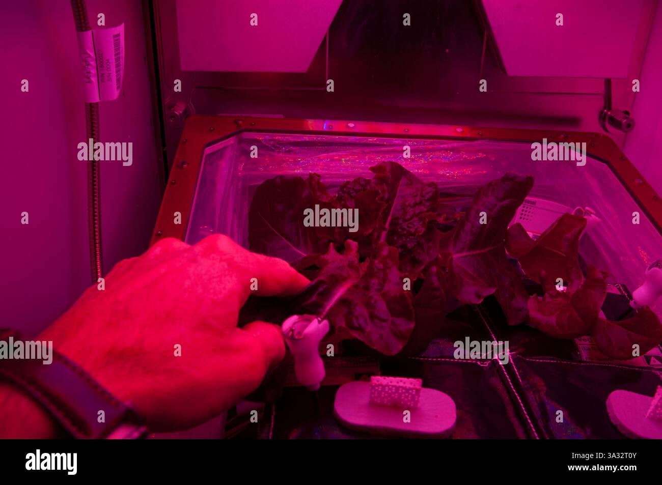 June 13, 2014 - ..One of the Expedition 40 crew members on the ...