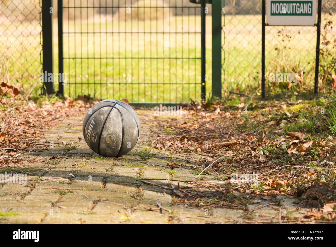 Basketball in the yard hi-res stock photography and images - Alamy