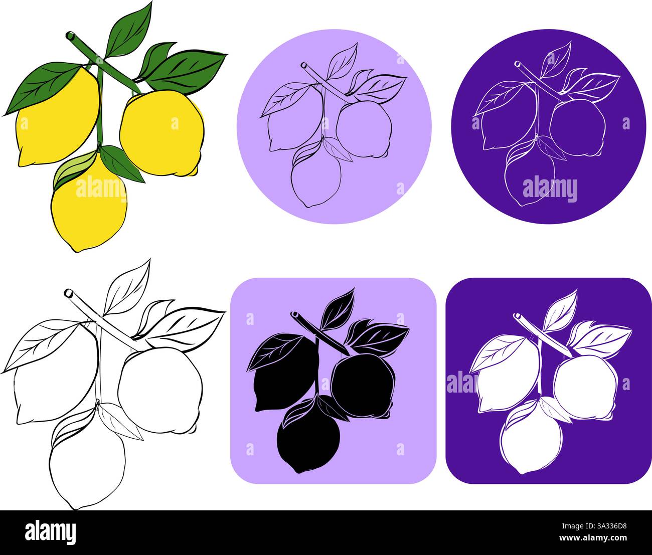 Vector isolated lemon tree brunch with lemons logo. Graphic line ink ...