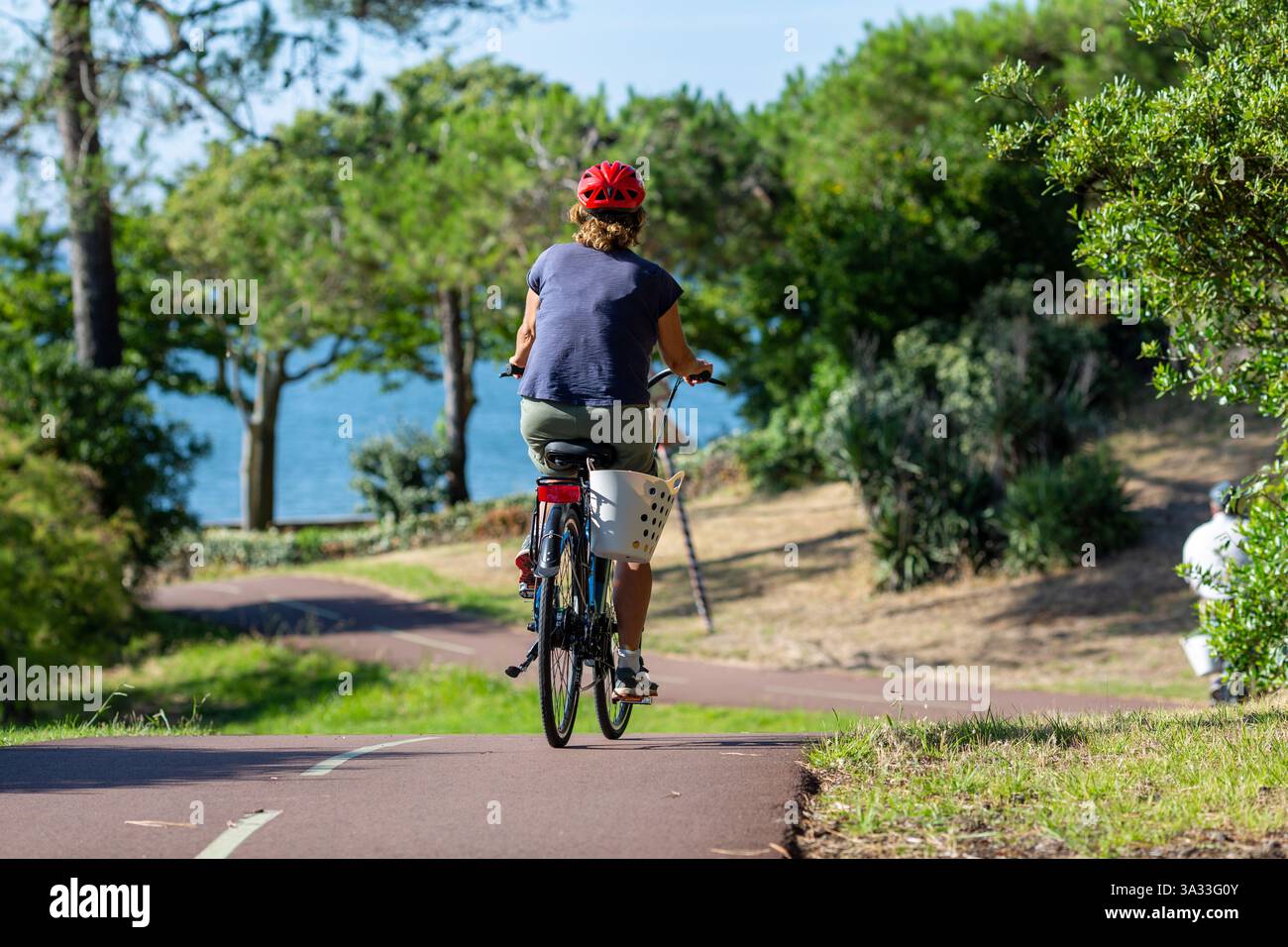 Person riding a bicycle on a cycle path a sunny day Stock Photo - Alamy