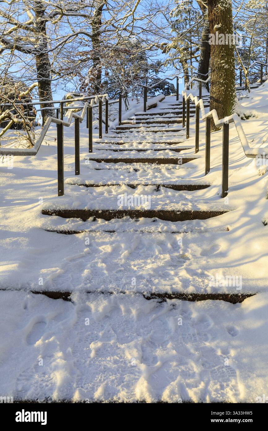 Shot rocky stairs covered hi-res stock photography and images - Alamy