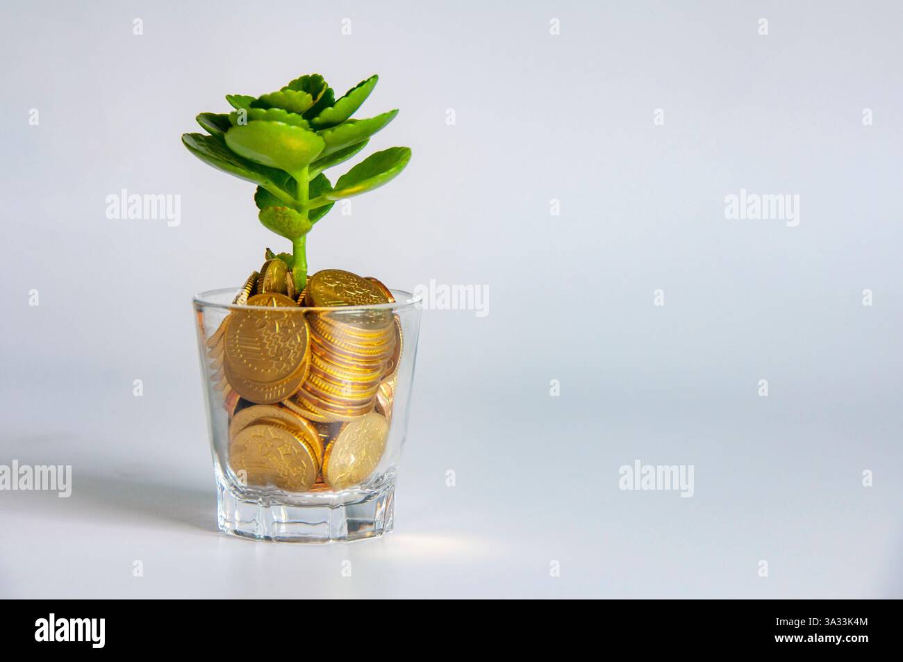 Money tree sprouting from gold coins with customizable space for text ...