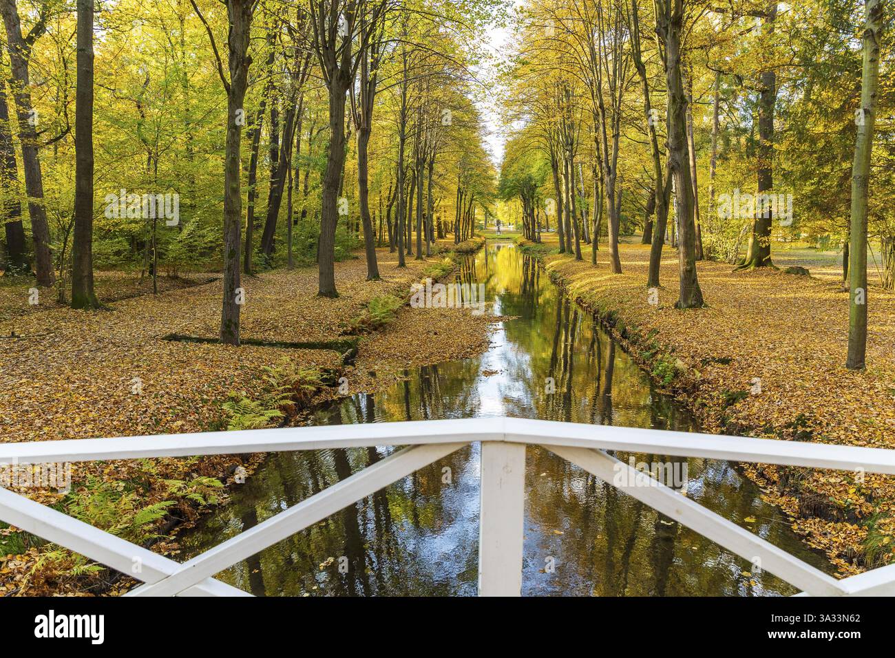 Bridge over the castle moat in autumn, park of Hermsdorf Castle ...