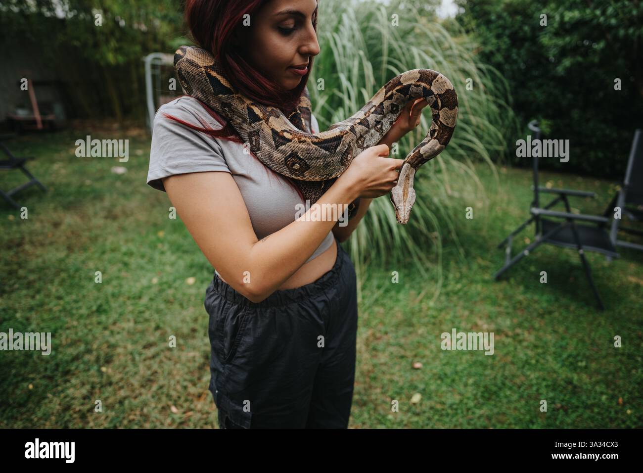 Handling a grass snake hi-res stock photography and images - Alamy