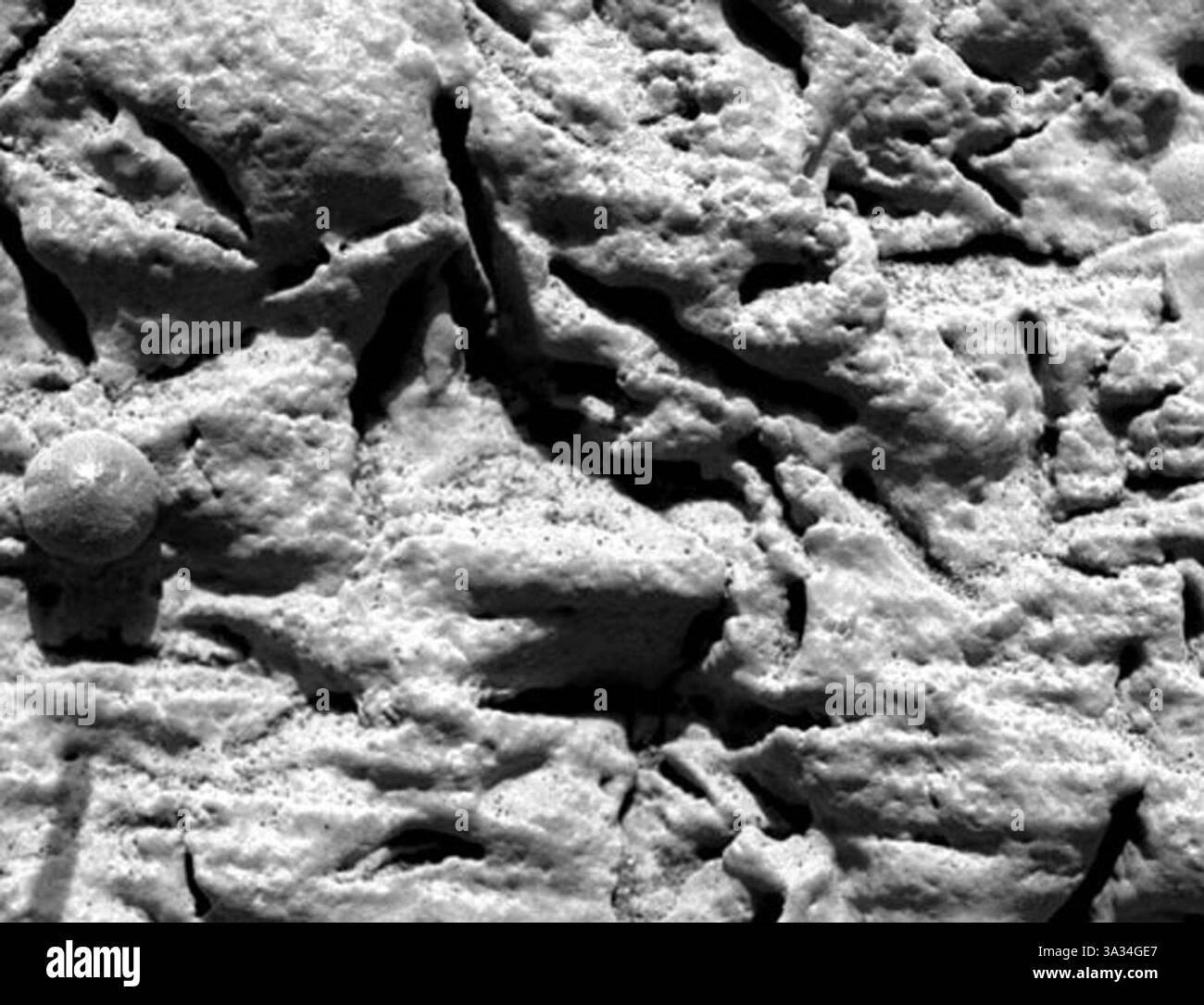 Horizontally across Black and White Stock Photos & Images - Alamy