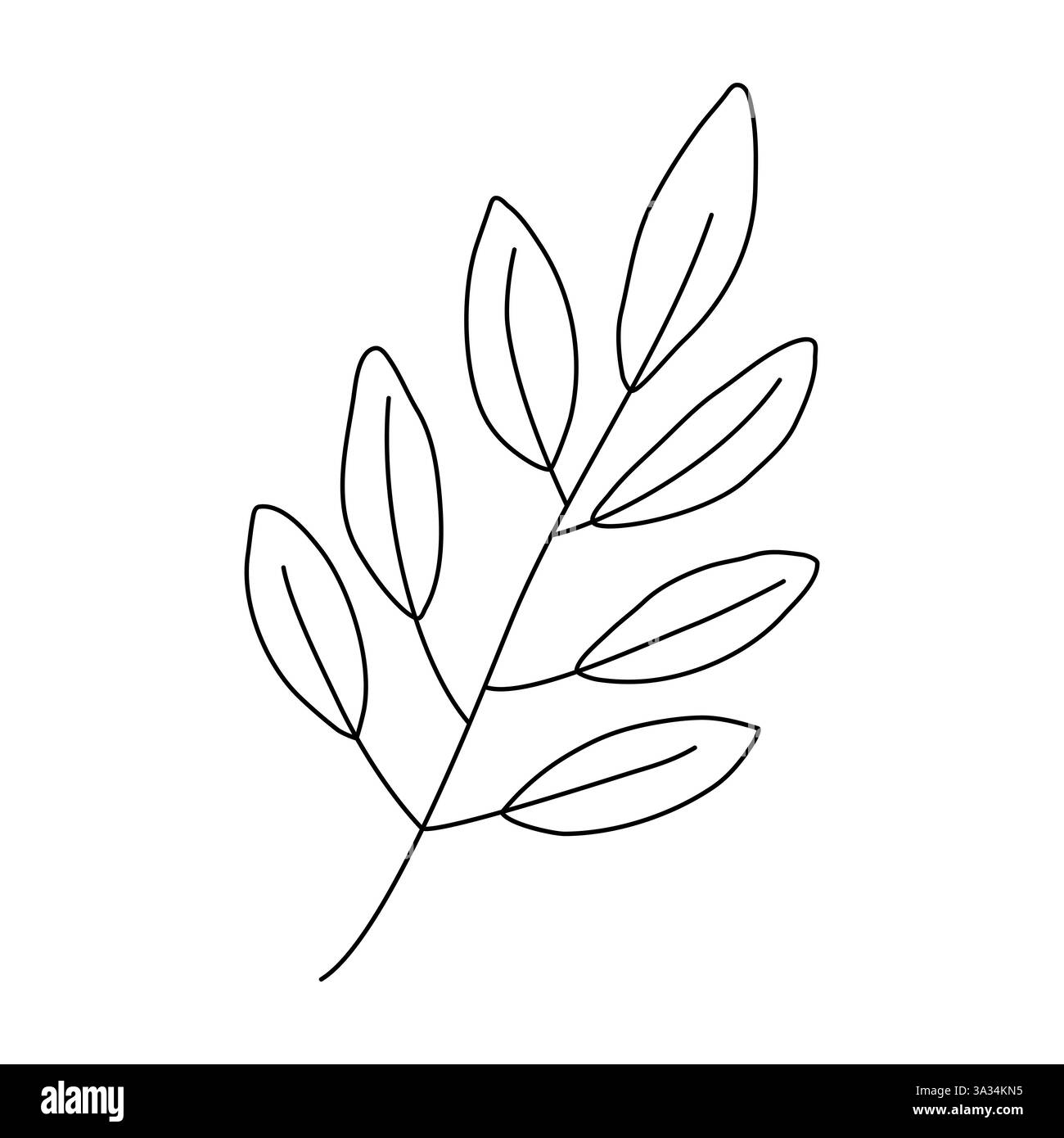 Sprig with leaves, doodle style flat vector outline illustration for ...