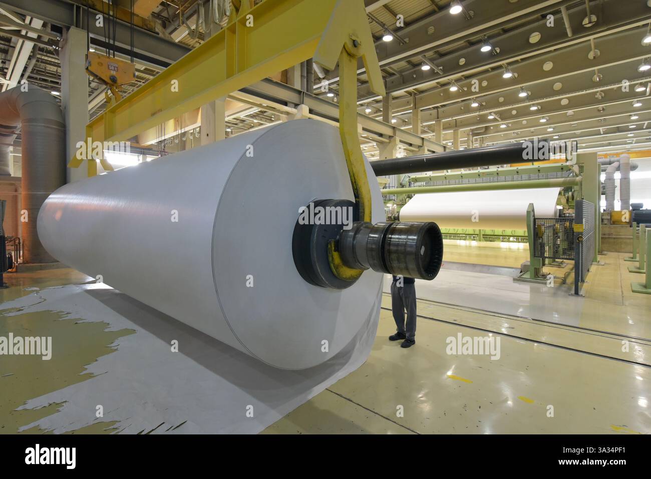 paper mill - production of paper rolls for the printing industry ...