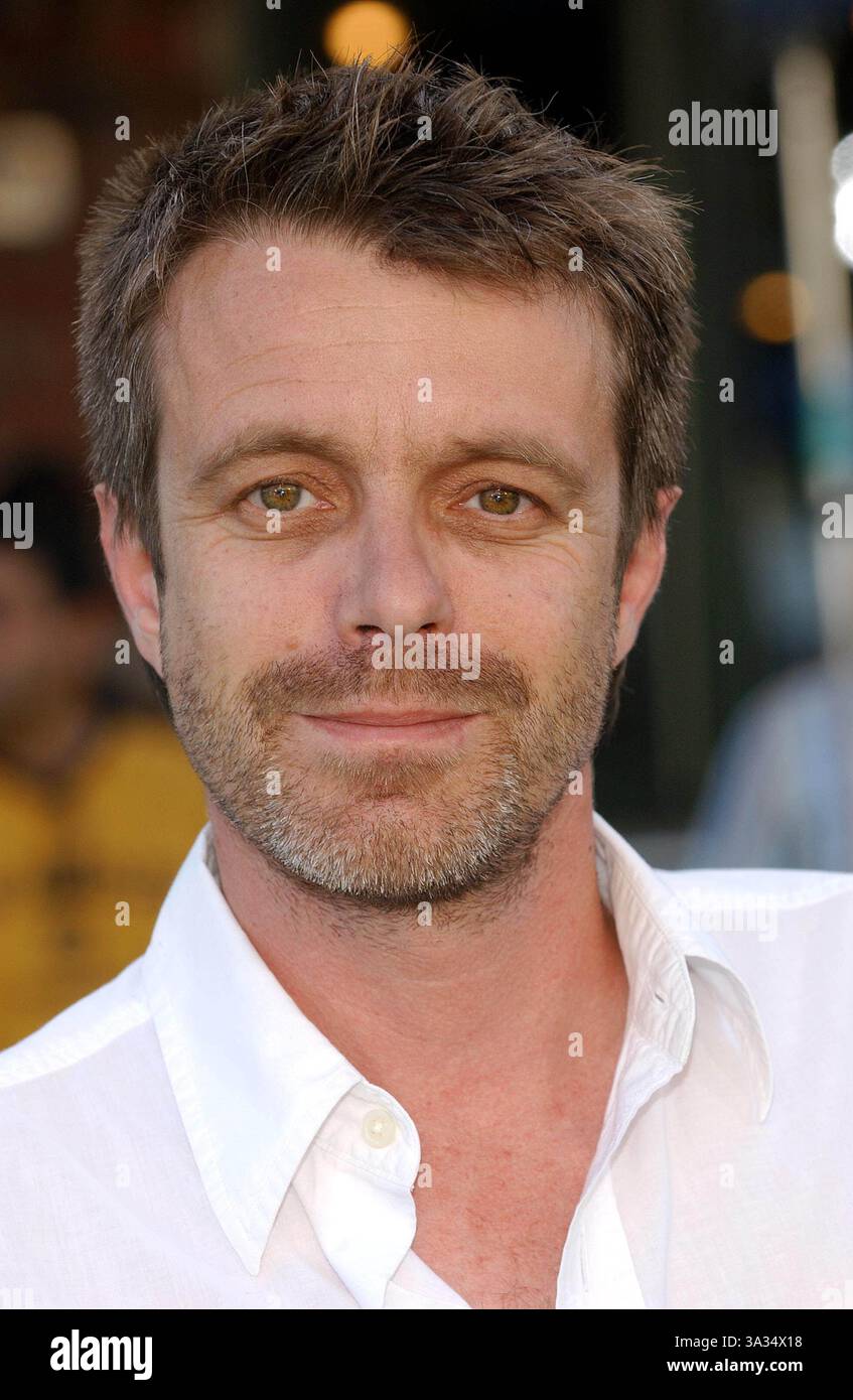 May 8, 2004 - Westwood, CALIFORNIA, USA - K36976FB.SHREK 2 PREMIERE AT ...