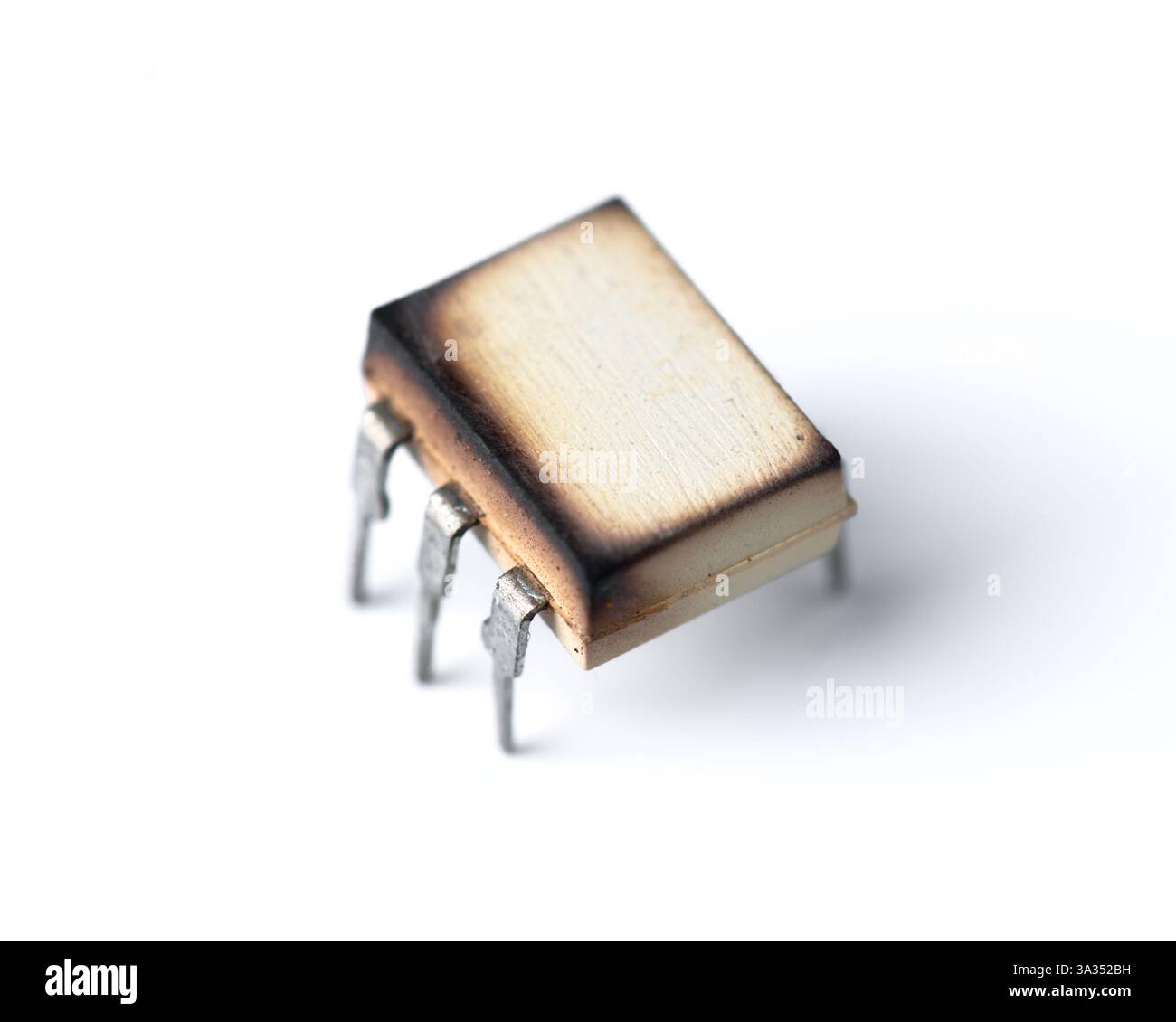 High resolution close up Cut Out Stock Images & Pictures - Alamy