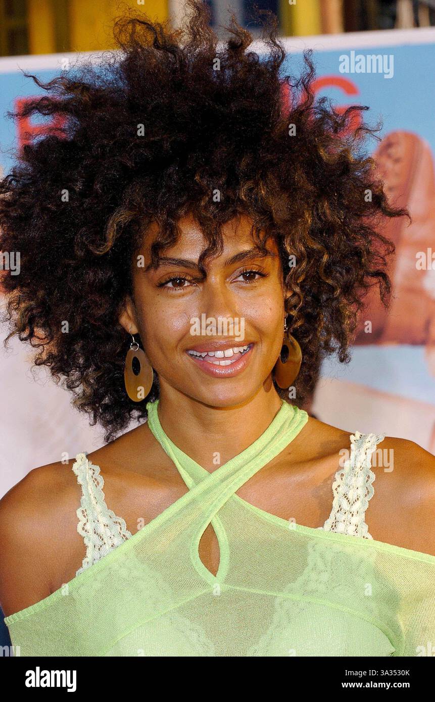 May 26, 2004 - Hollywood, CALIFORNIA, USA - K37533FB.RAISING HELEN ...