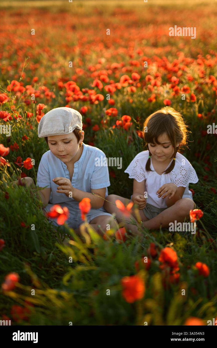 A boy and girl, siblings, sit amidst a lush field of Papaver rhoeas ...