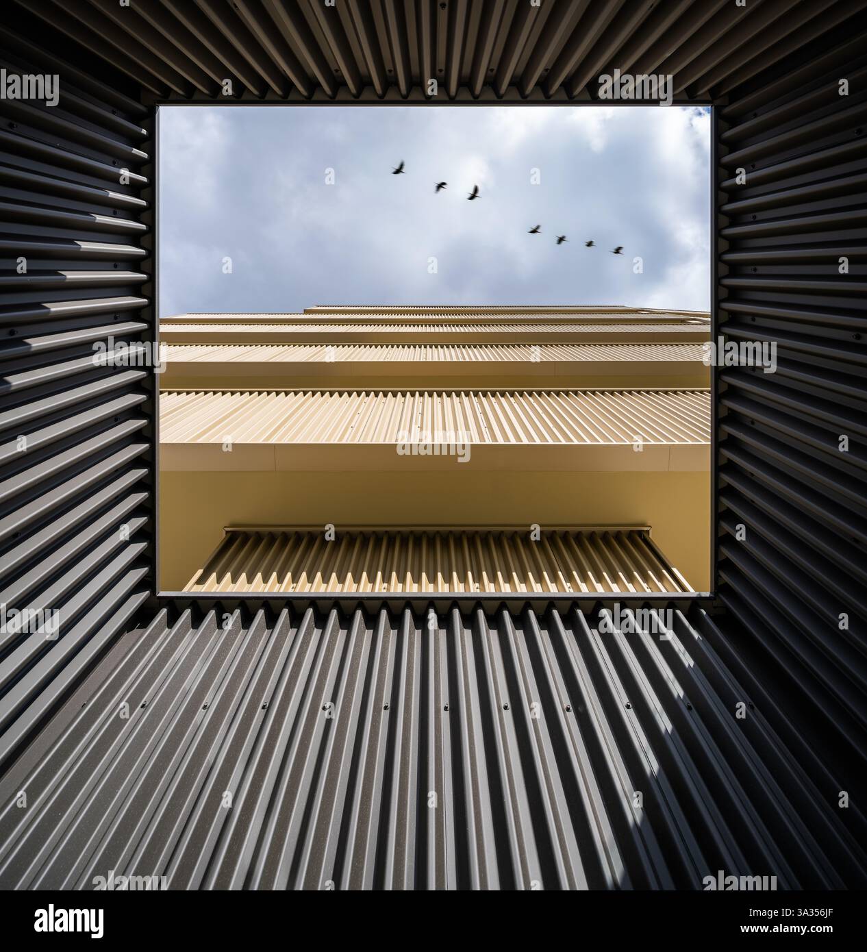 From below unique perspective of a sustainable building showcasing a ...