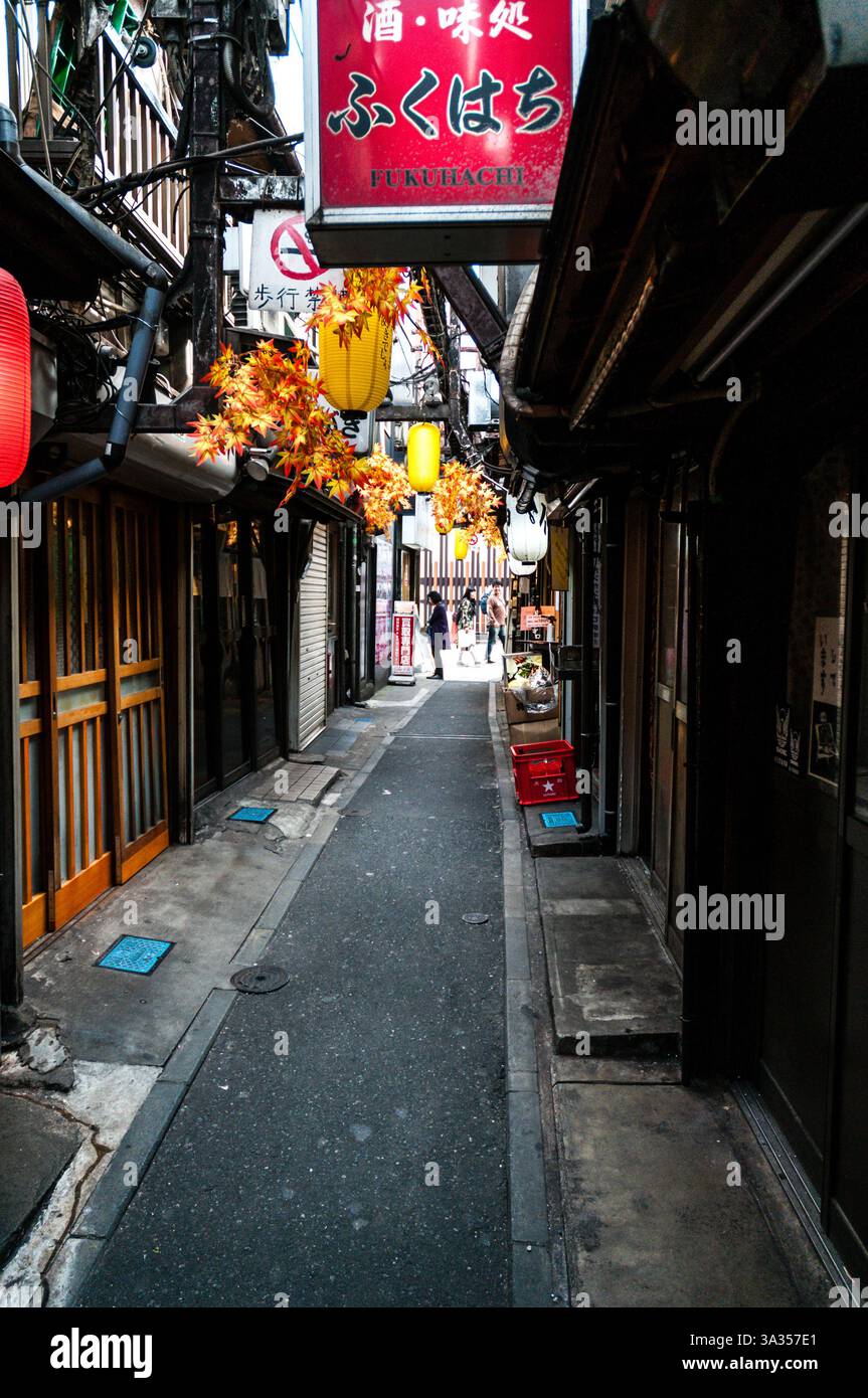 Back Alleys of Shinjuku Stock Photo - Alamy