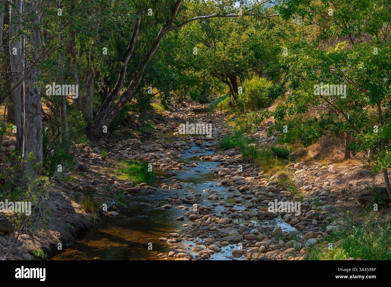 Eerste river in stellenbosch slowly moving downstream over round rocks ...