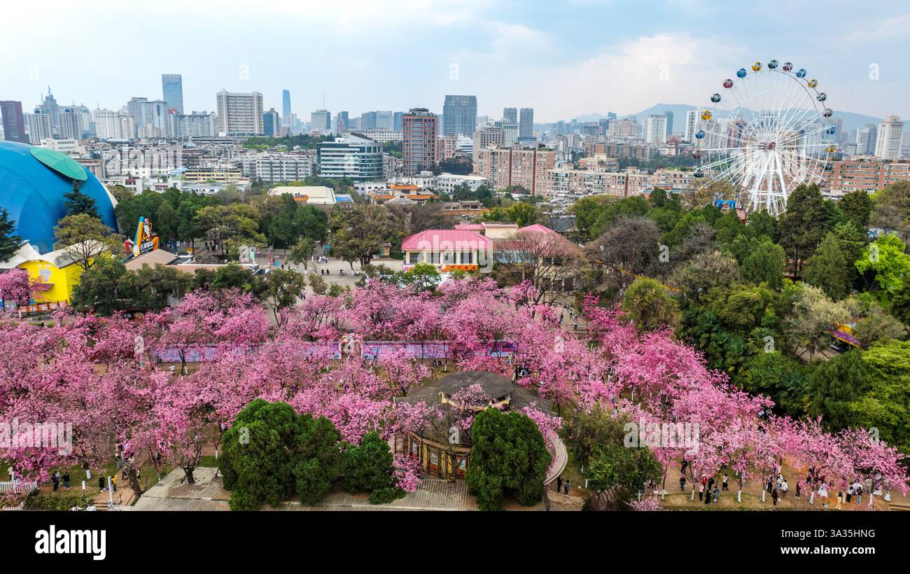 Kunming. 14th Mar, 2025. An aerial drone photo taken on March 14, 2025 ...