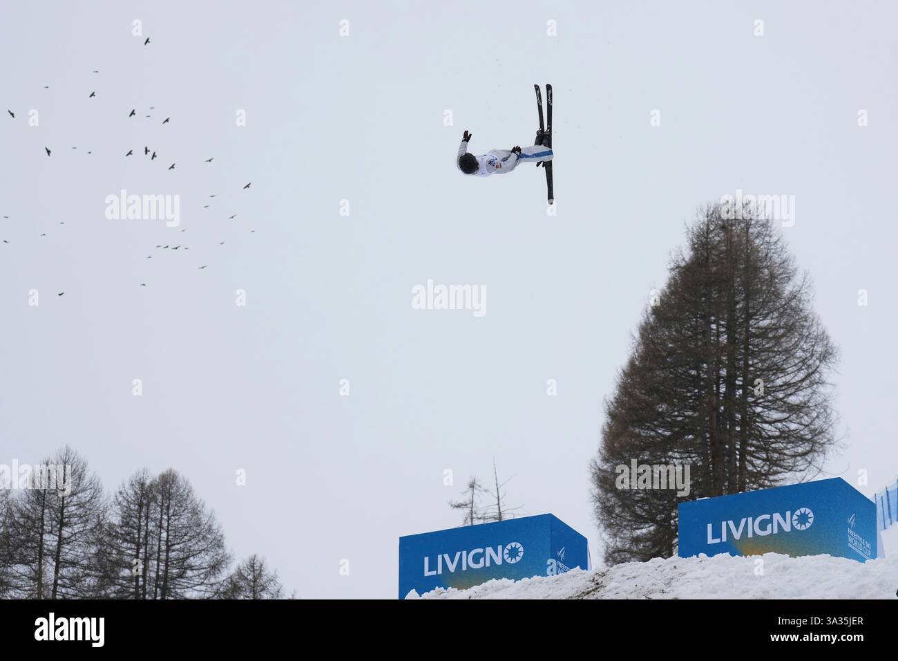 An athlete competes at the men's freestyle skiing aerial competition at the World Cup Finals and ...
