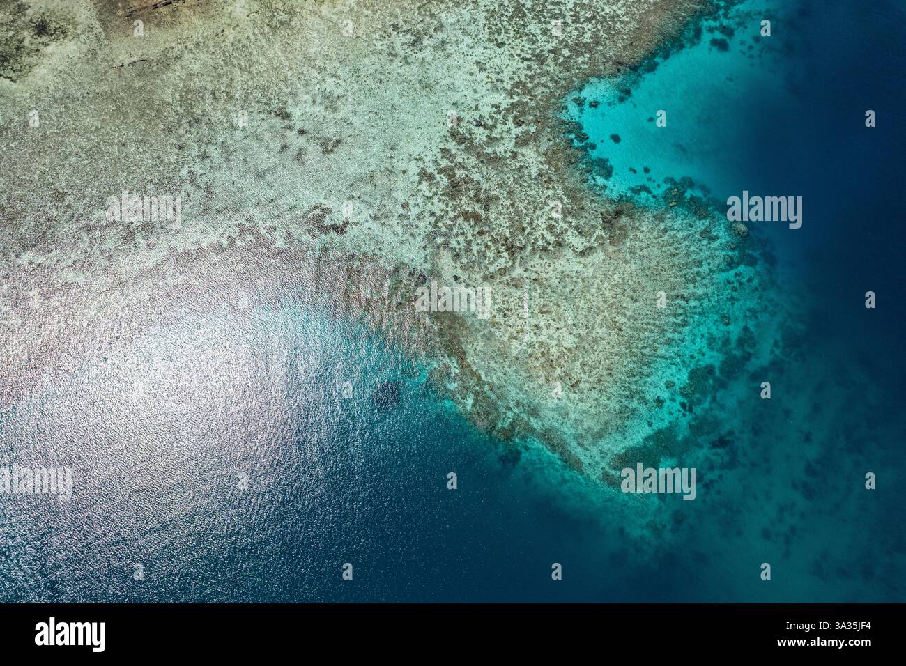 Aerial view of tropical coral reef in the Pacific Ocean in between ...