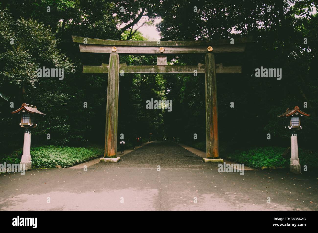 Japanese Portal (Torii Stock Photo - Alamy