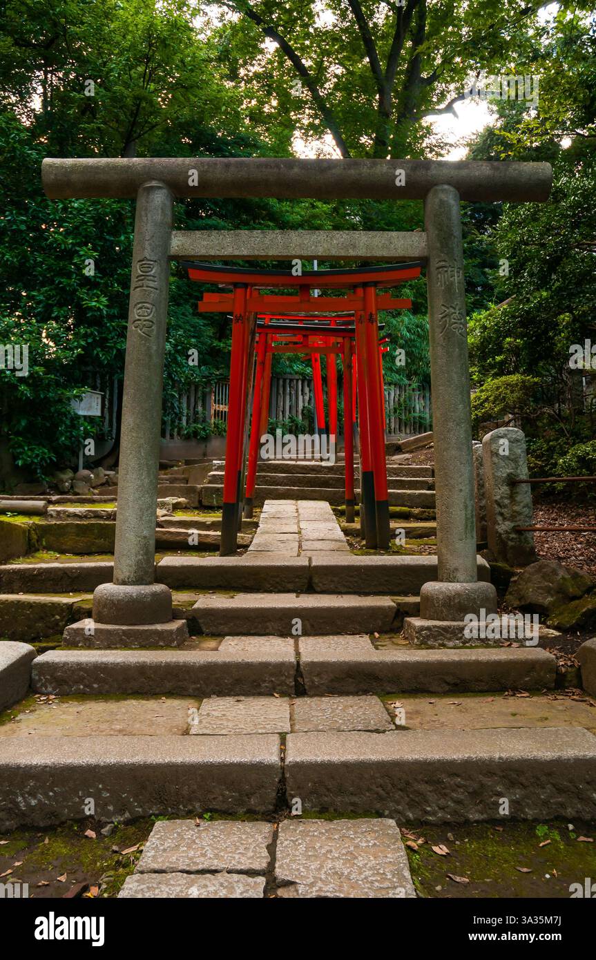 Japanese Portal (Torii Stock Photo - Alamy