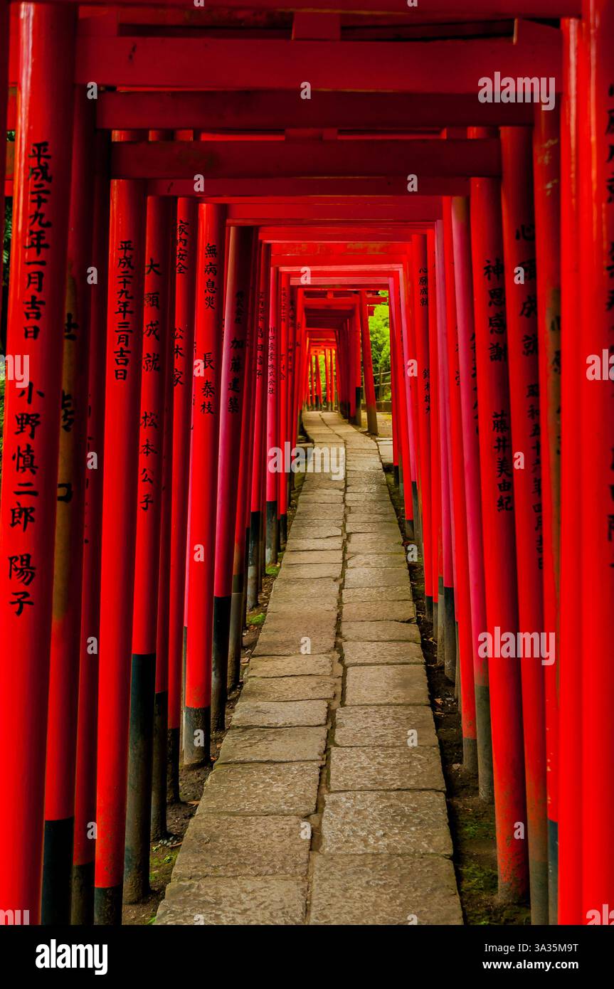 Torii gate shintoism icon hi-res stock photography and images - Alamy