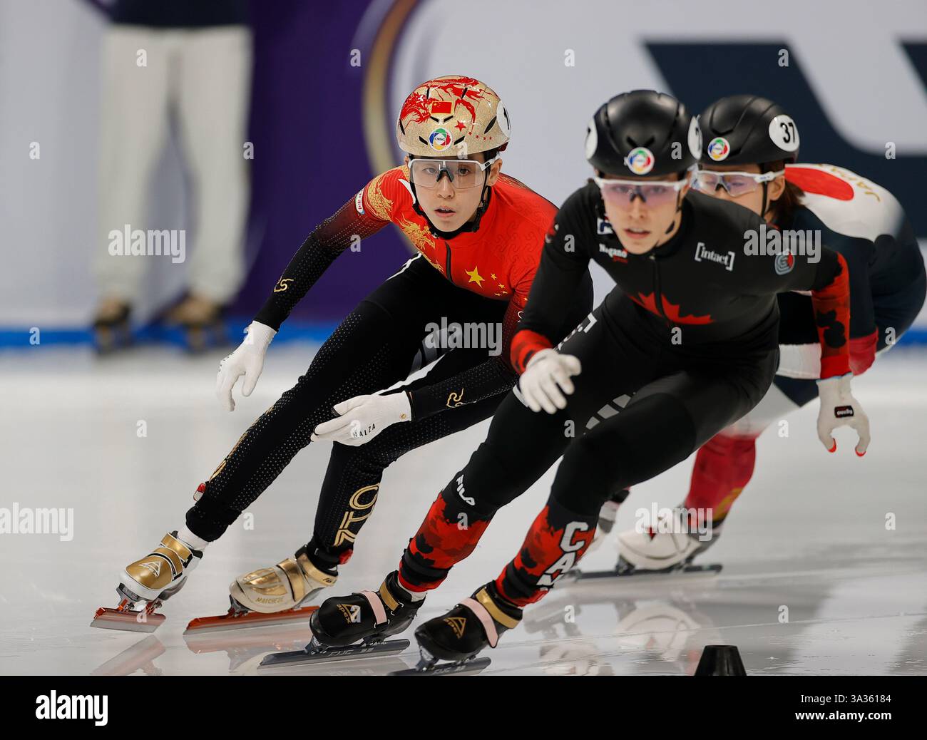 Beijing, China. 14th Mar, 2025. Fan Kexin (L) of China competes during ...