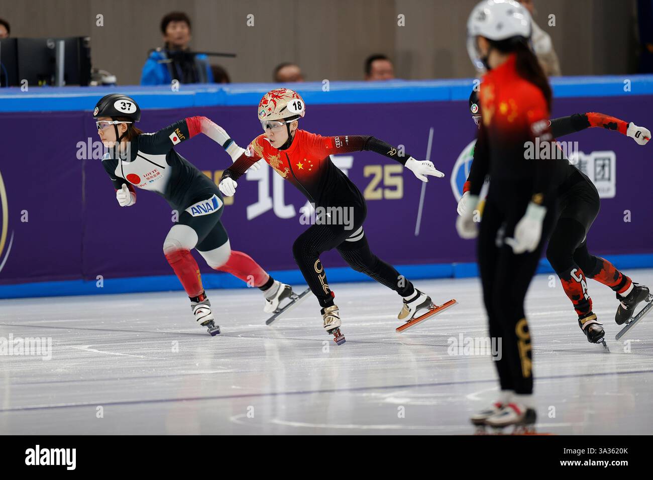 Beijing, China. 14th Mar, 2025. Fan Kexin (2nd L) of China and Hirai ...