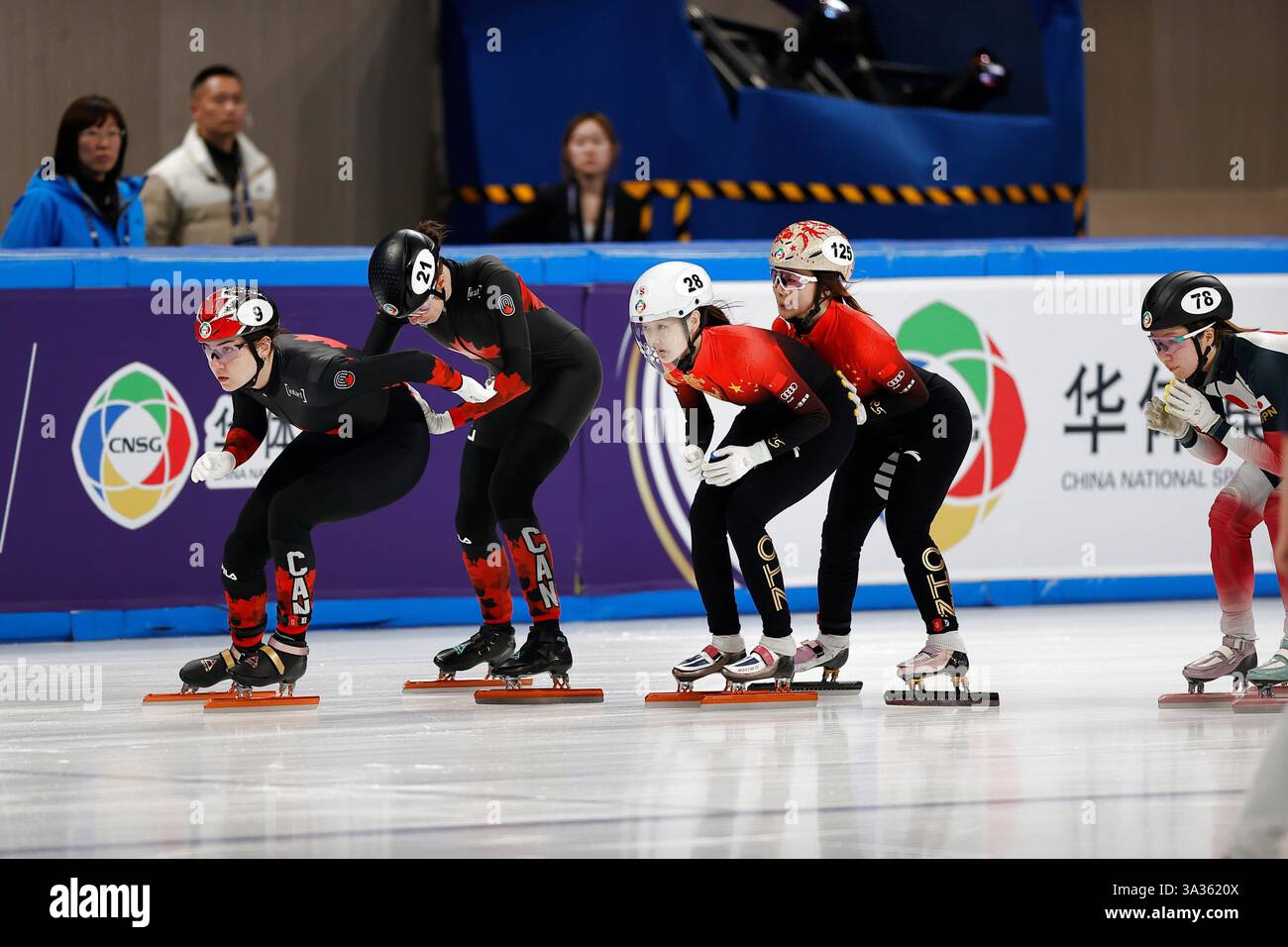 Beijing, China. 14th Mar, 2025. Skaters compete during the women's 3000m relay quarterfinal at ...