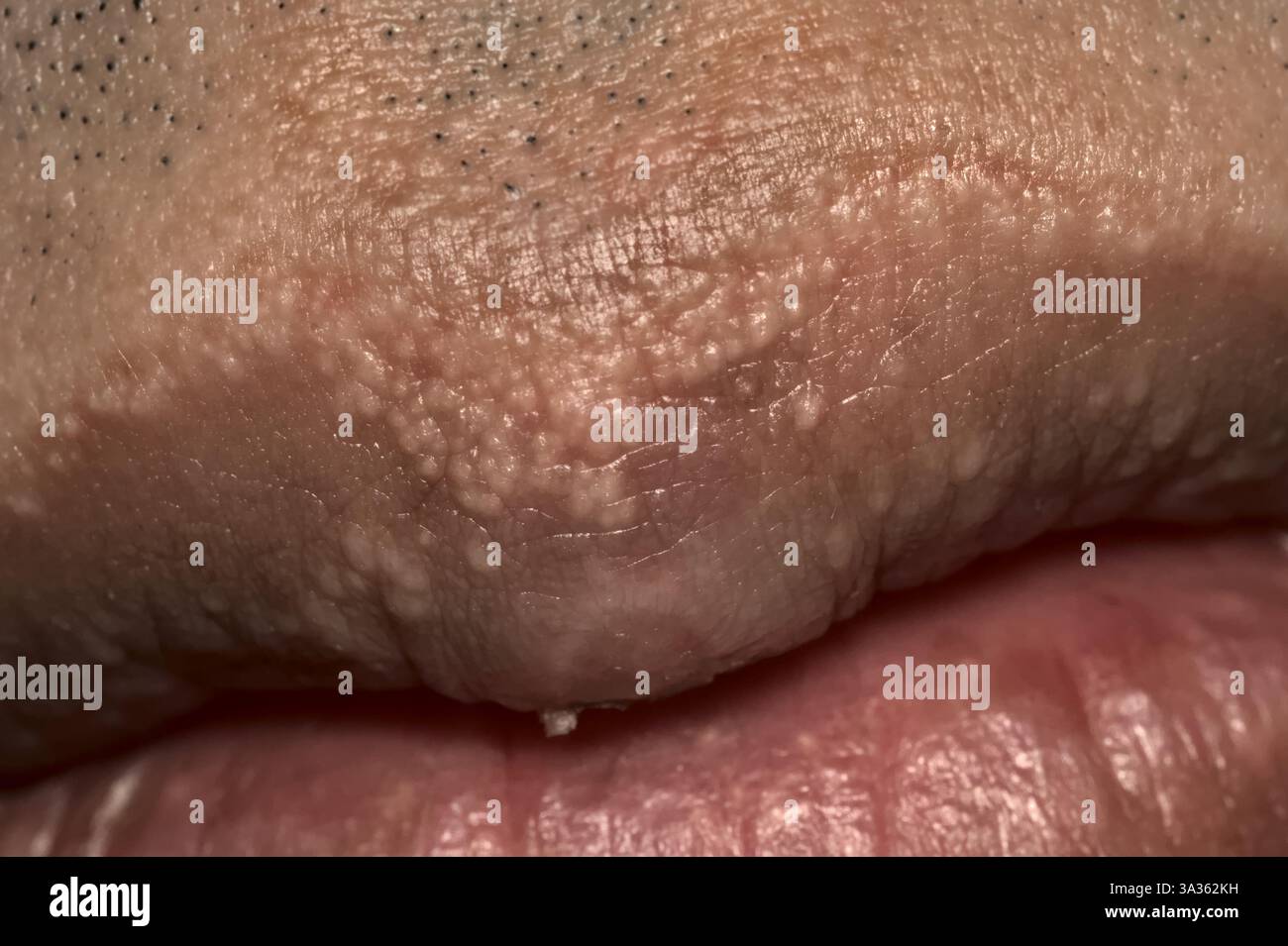 Fordyce hi-res stock photography and images - Alamy