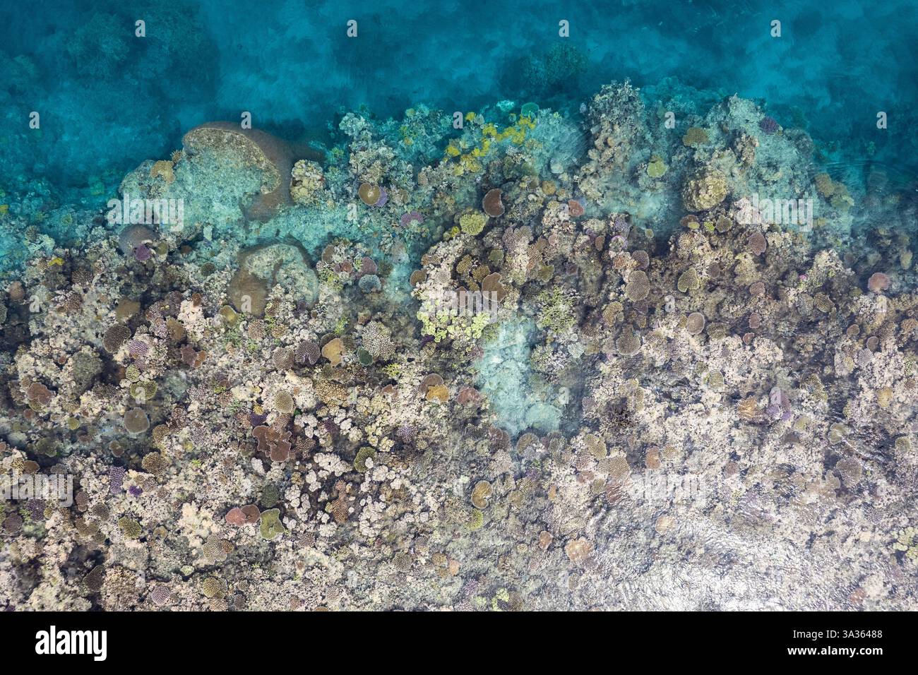 Aerial view of tropical coral reef in the Pacific Ocean in between ...
