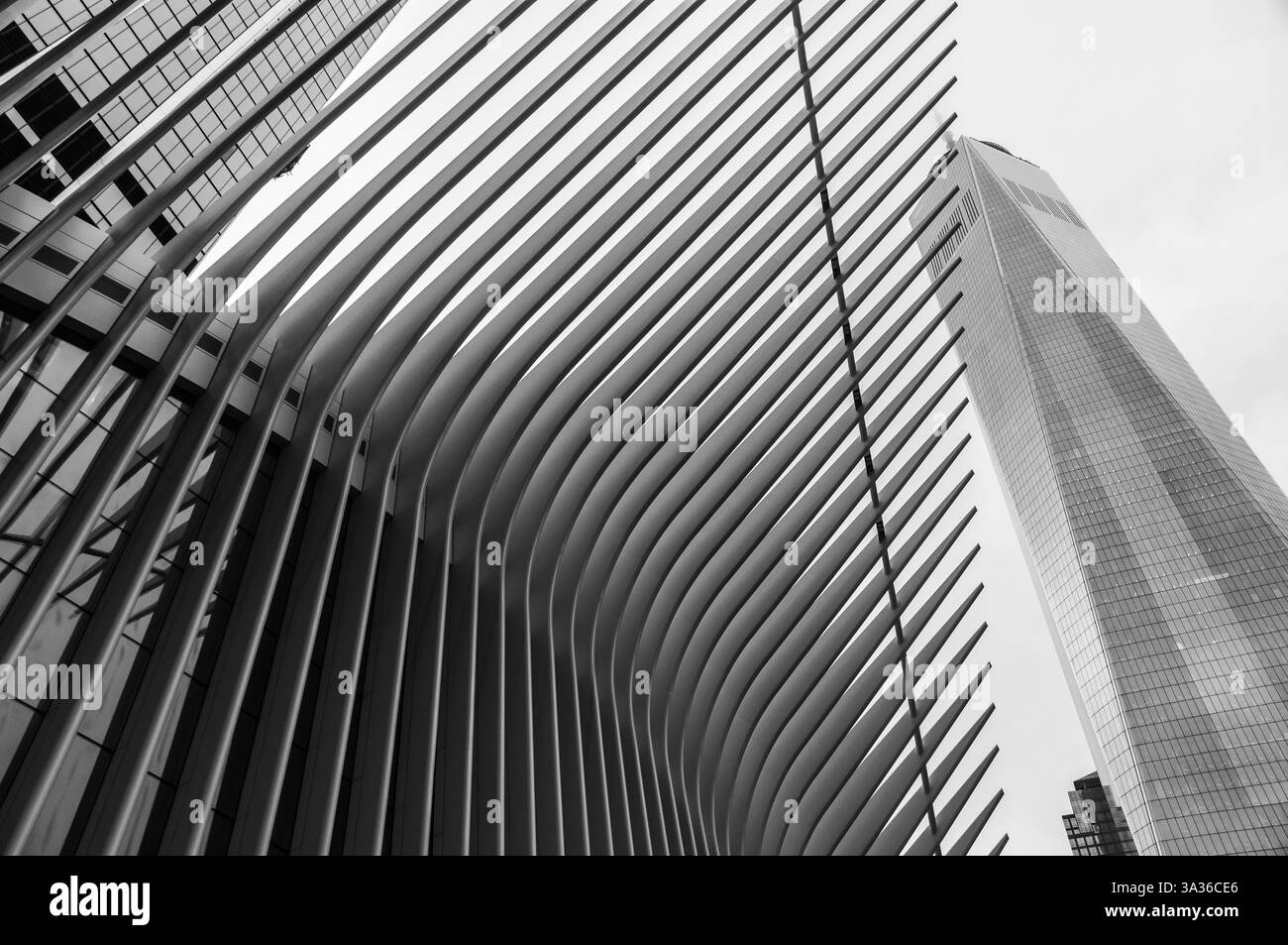 Oculus building santiago calatrava Black and White Stock Photos ...