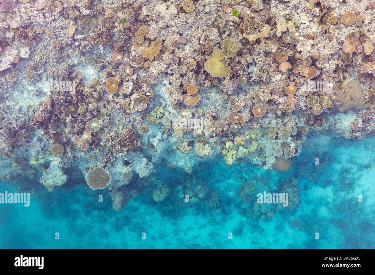Aerial view of tropical coral reef in the Pacific Ocean in between ...